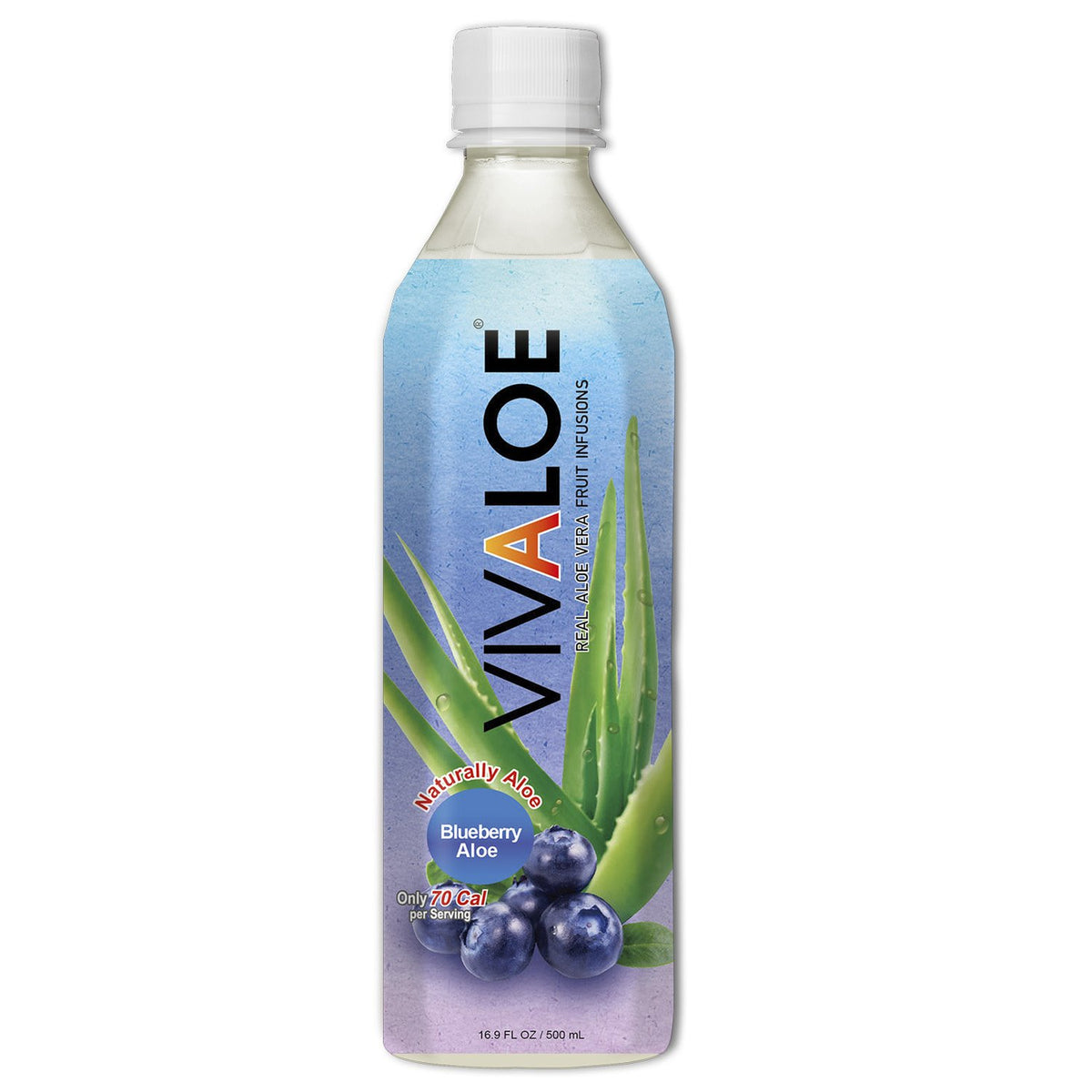 VIVALOE BLUEBERRY ALOE VERA DRINK 500 ML — Delivurr